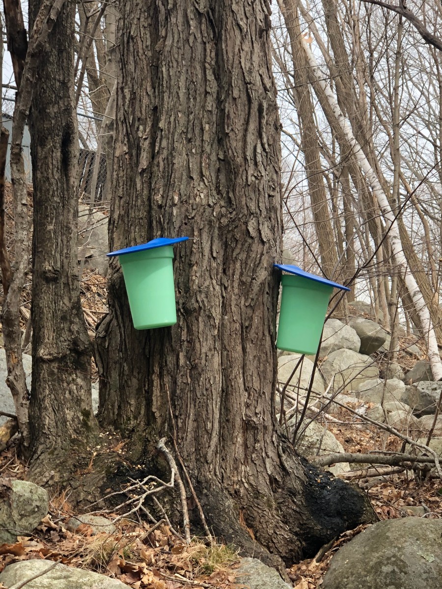Mrs. Pullen Shares the Sweetness of Spring with Atwood Second Graders ...